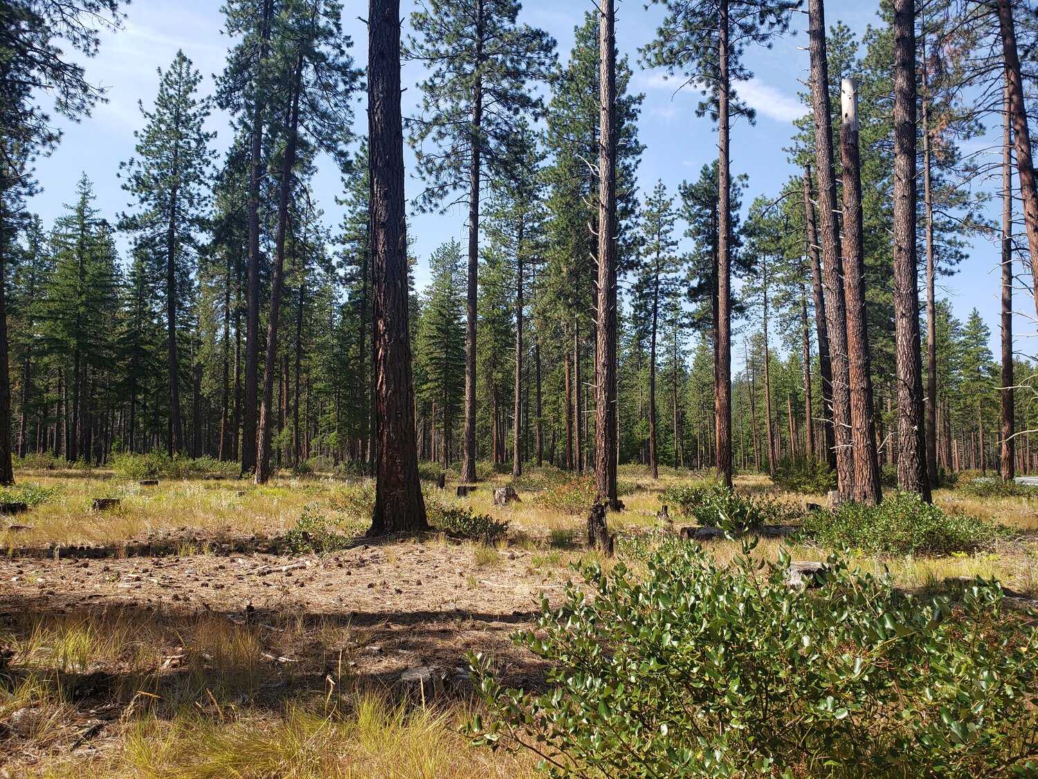 Site Visit Recap | Upper Wenatchee Pilot Project on the Okanogan ...