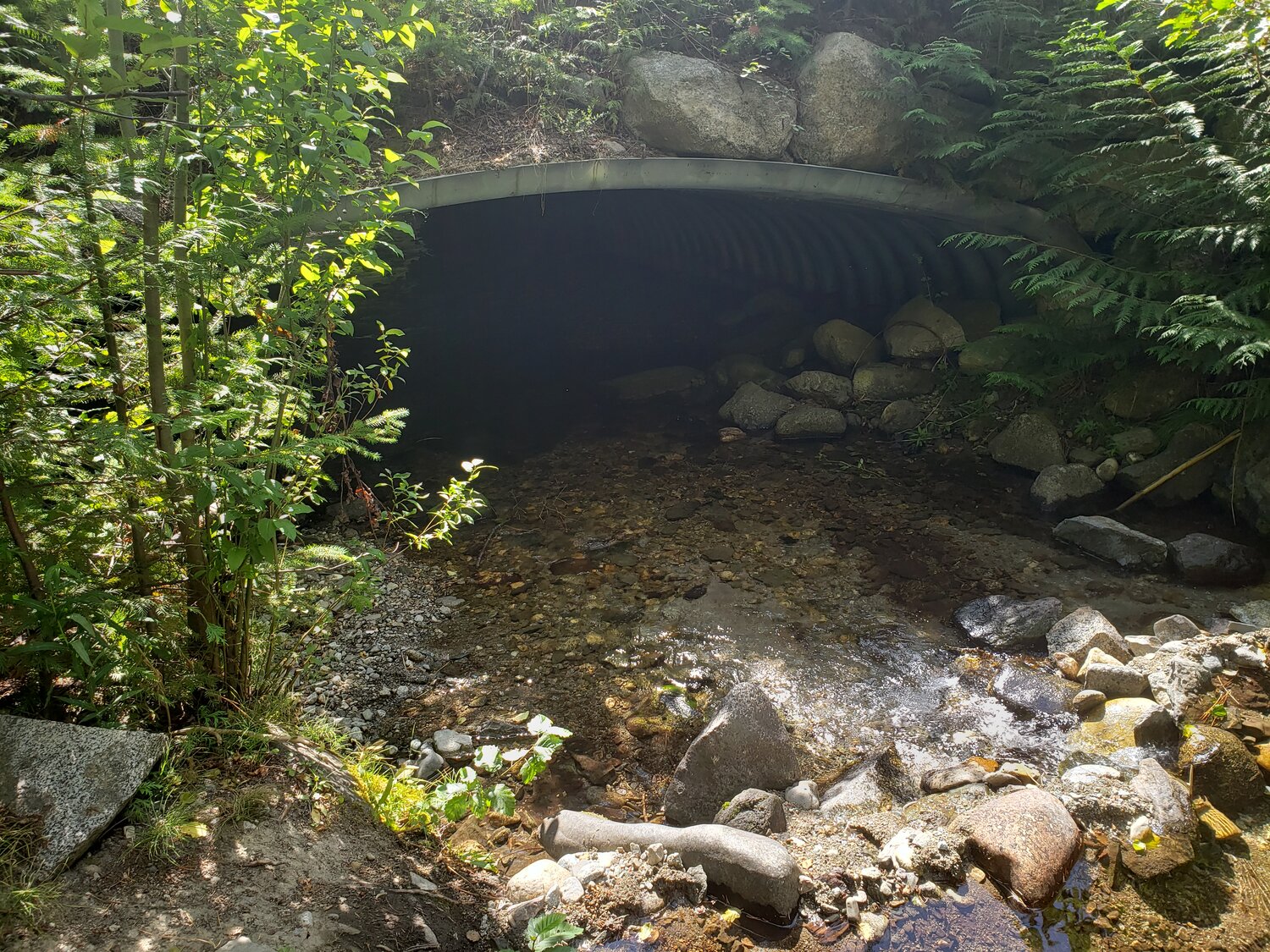 Site Visit Recap | Upper Wenatchee Pilot Project on the Okanogan ...