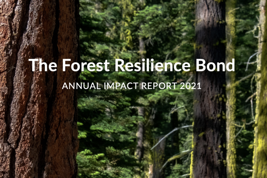 Annual Reports | Blue Forest