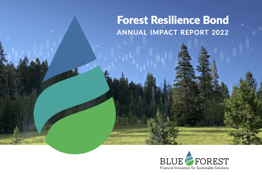 Annual Reports | Blue Forest