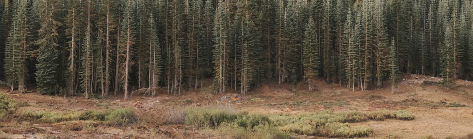 California Wildfire Innovation Fund | Blue Forest