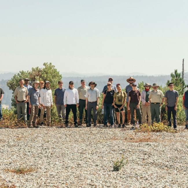 We Make Forest Restoration Projects Happen | Blue Forest