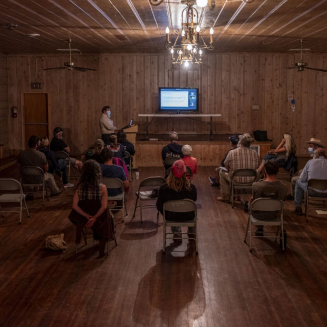 We Make Forest Restoration Projects Happen | Blue Forest