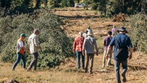 We Make Forest Restoration Projects Happen | Blue Forest