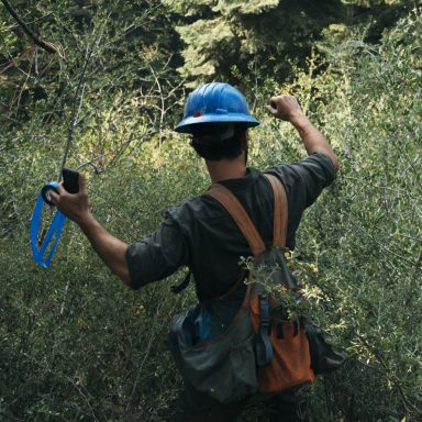 We Make Forest Restoration Projects Happen | Blue Forest
