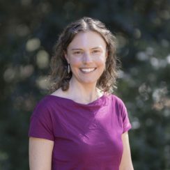 Our Team | Blue Forest