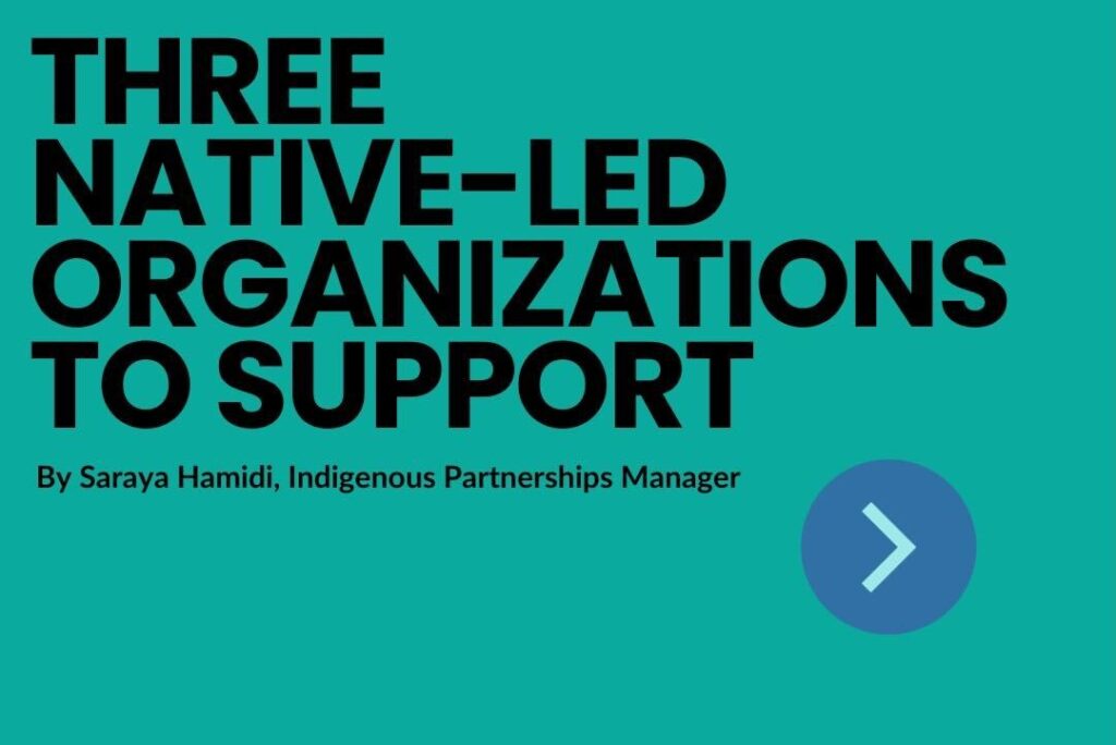 Native-Led Organizations to Follow | Blue Forest