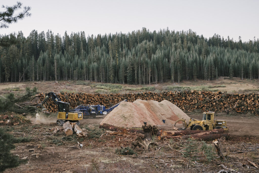Blue Forest | Because landscape restoration needs to happen now