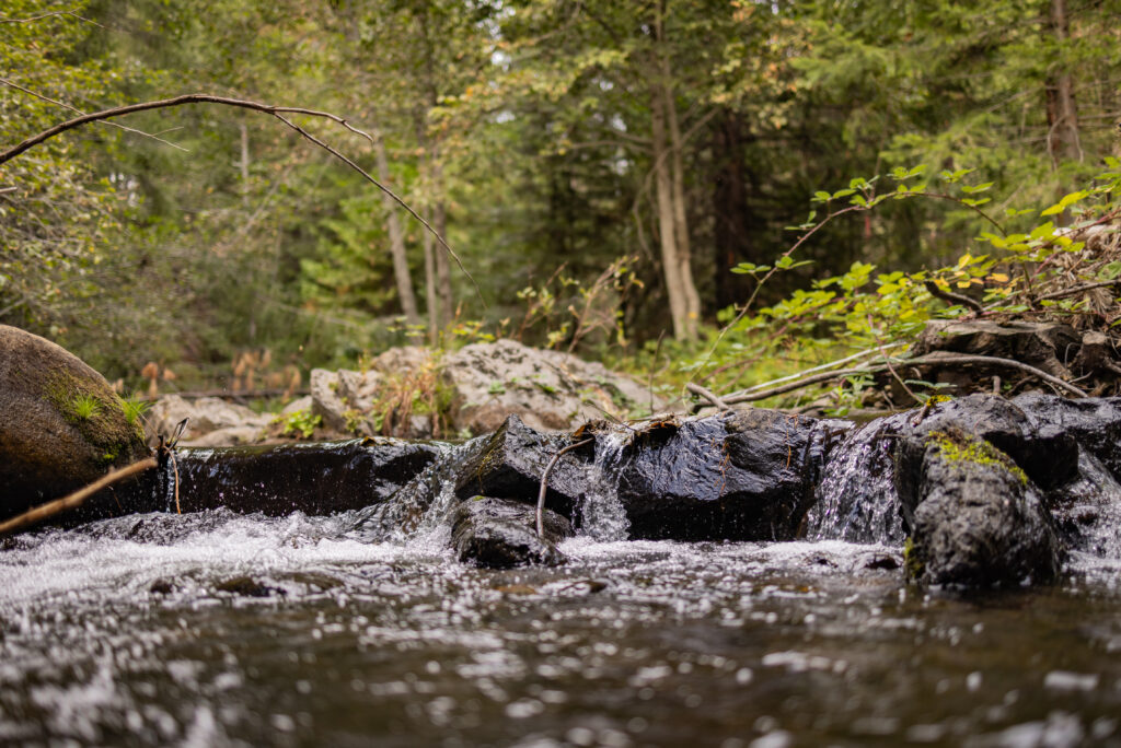A multi-benefit framework for funding forest management in fire-driven ...