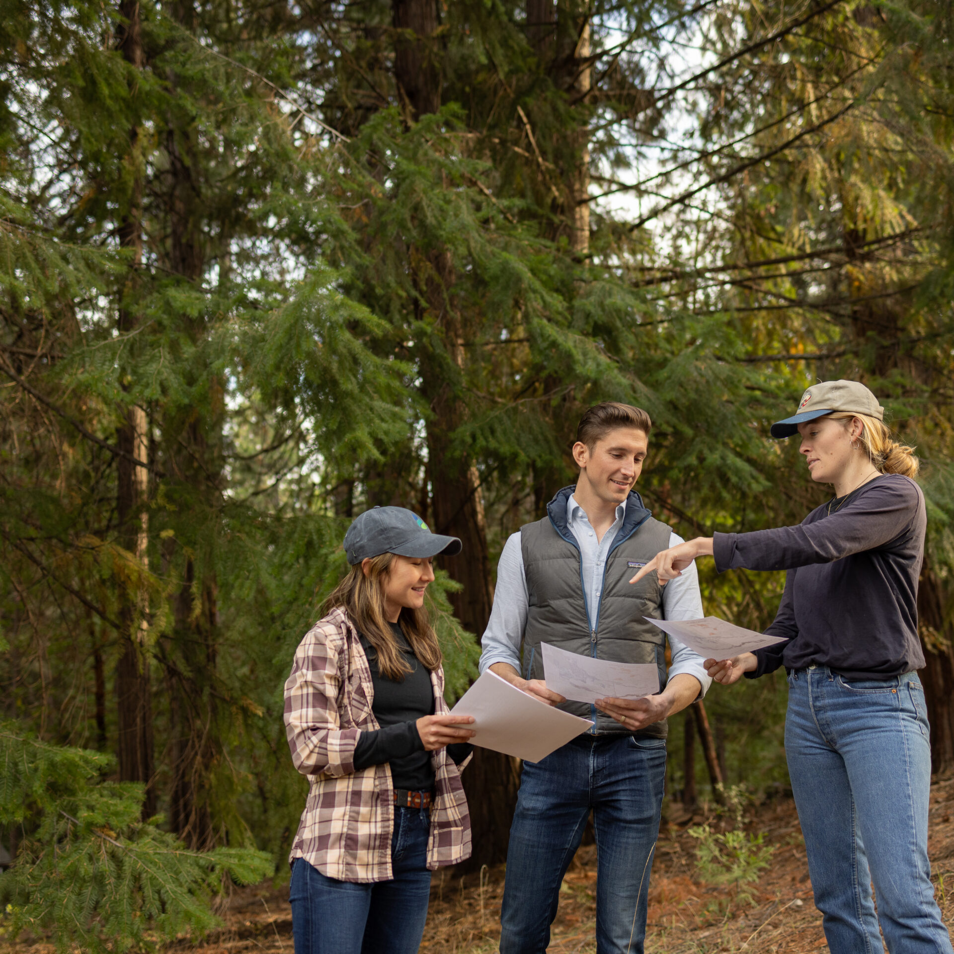 We Make Forest Restoration Projects Happen | Blue Forest