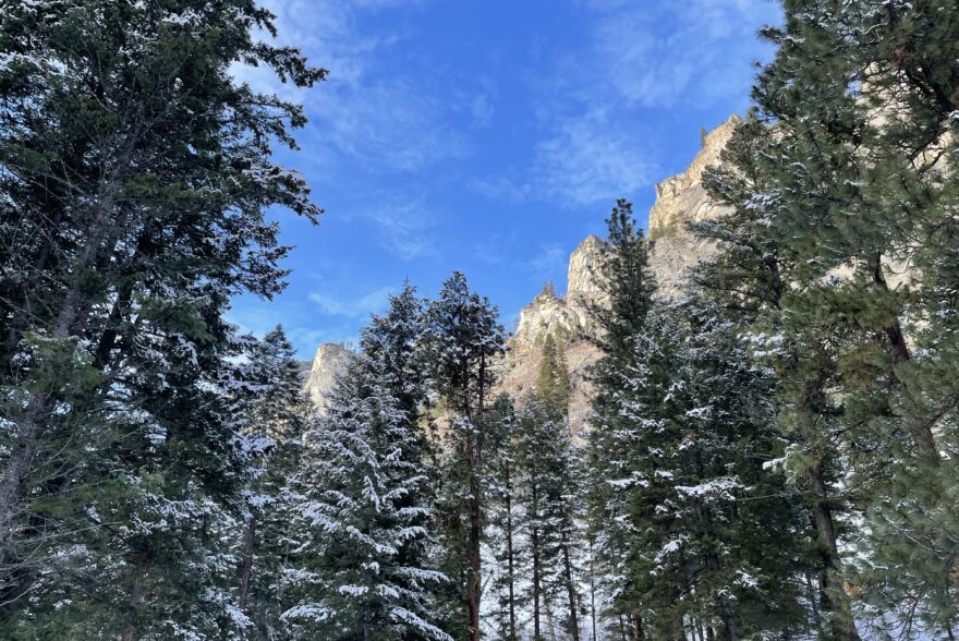 Reports & Resources | Blue Forest