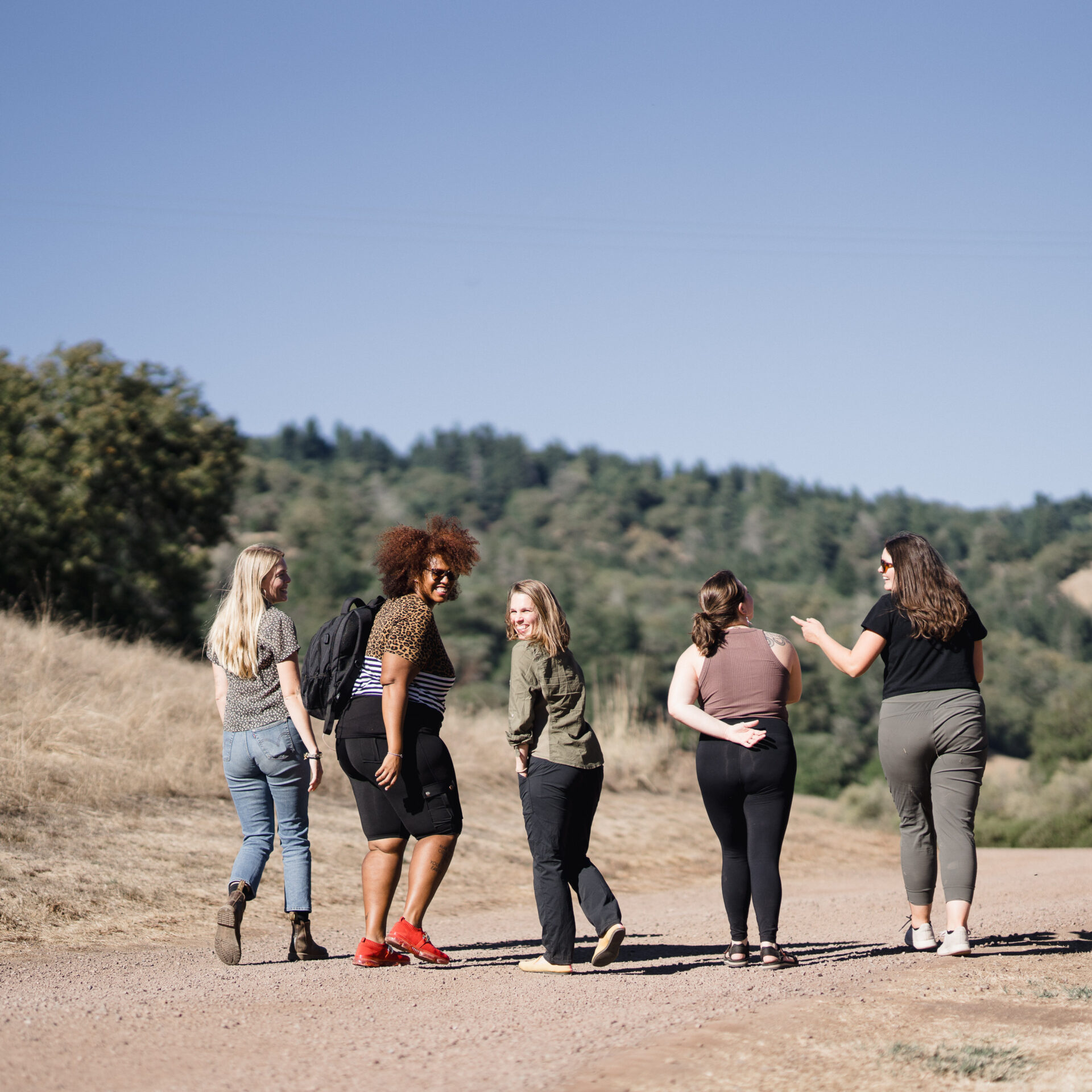 Strategic Plan | Blue Forest