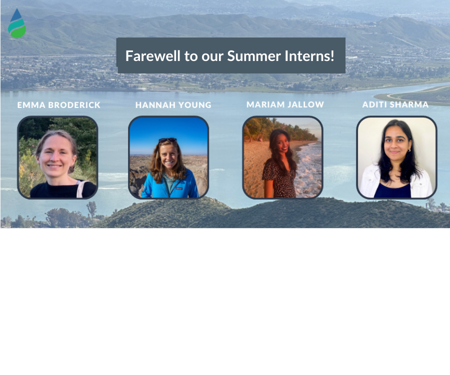 Blue Forest Interns Make Waves with Summer Contributions | Blue Forest