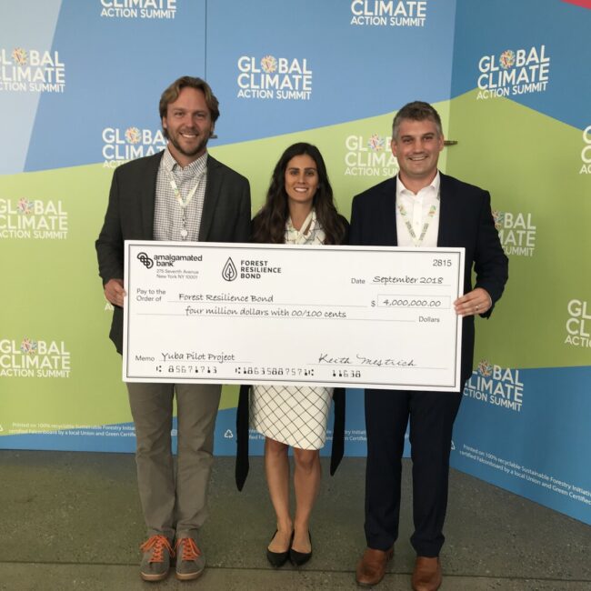 Our Story | Blue Forest