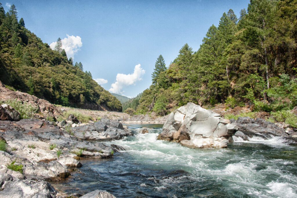 Reports & Resources | Blue Forest