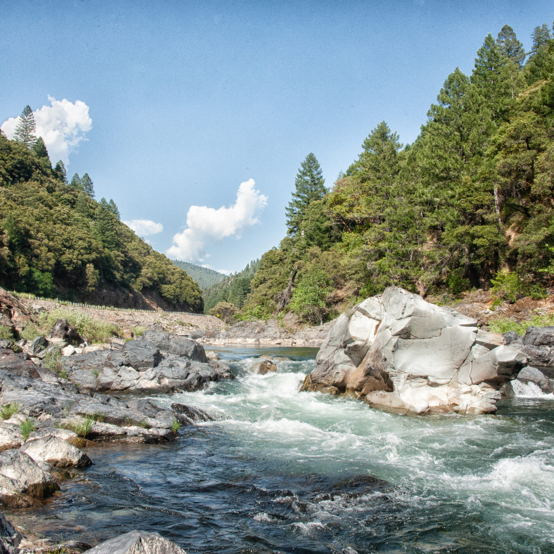 Conservation Finance | Blue Forest