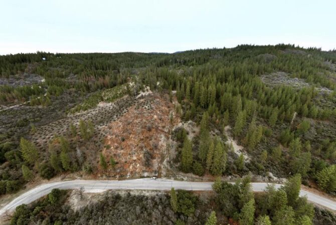 Yuba I FRB | Blue Forest