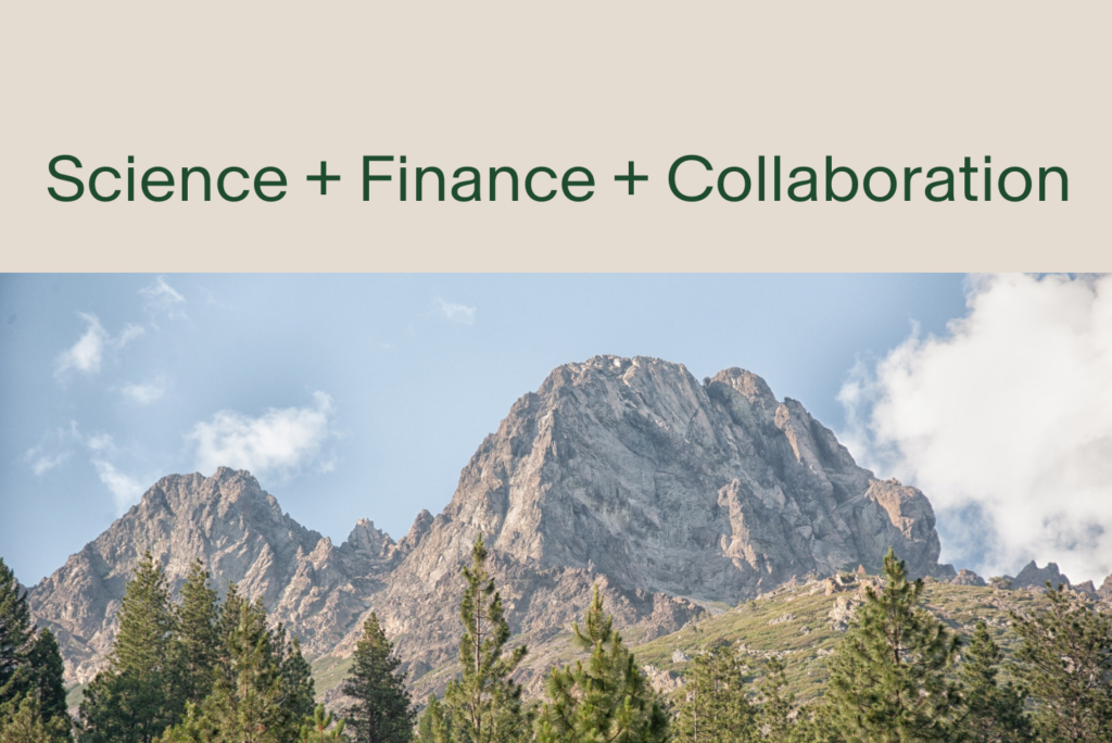 Science + Finance + Collaboration: Unveiling Blue Forest’s new mission ...