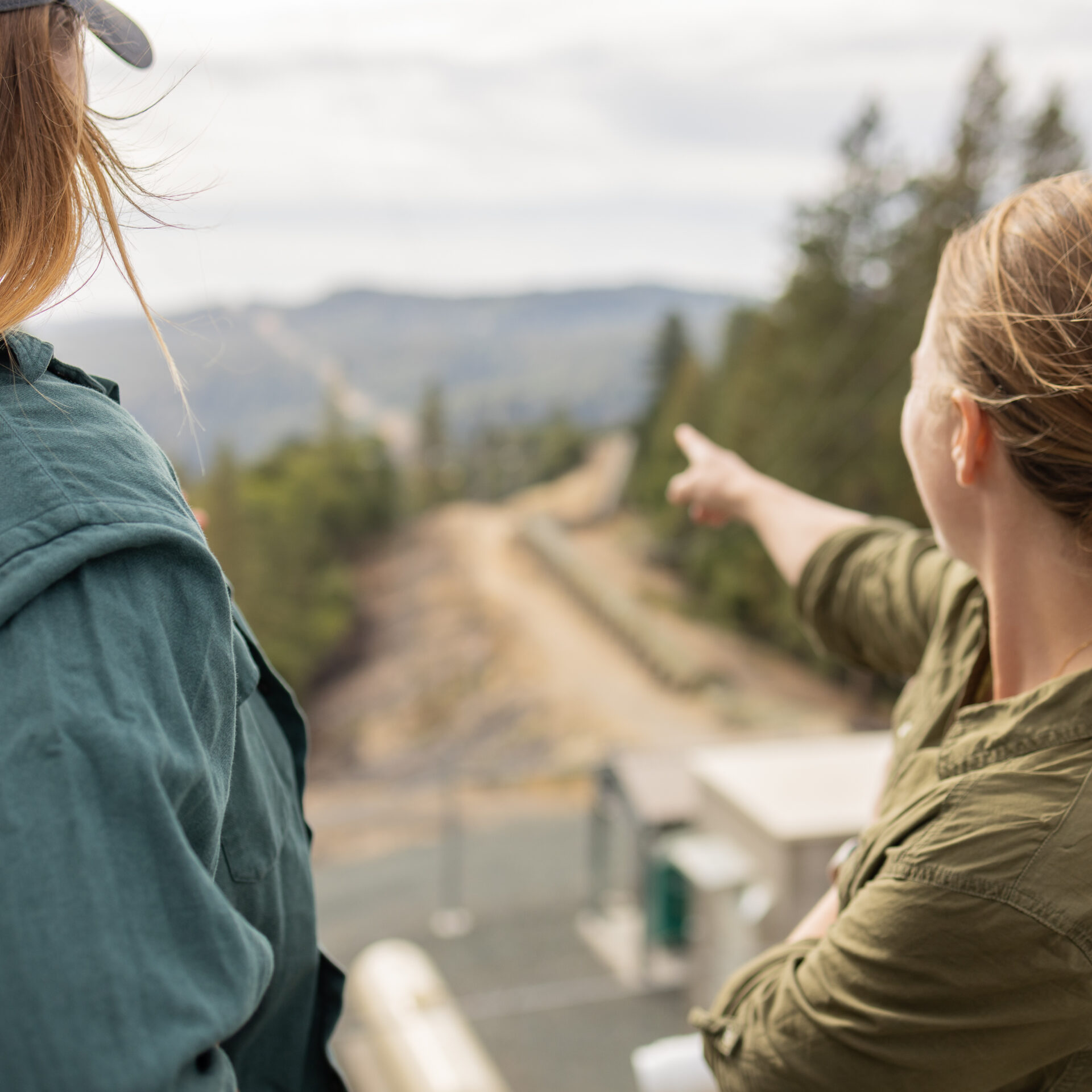 We Make Forest Restoration Projects Happen | Blue Forest