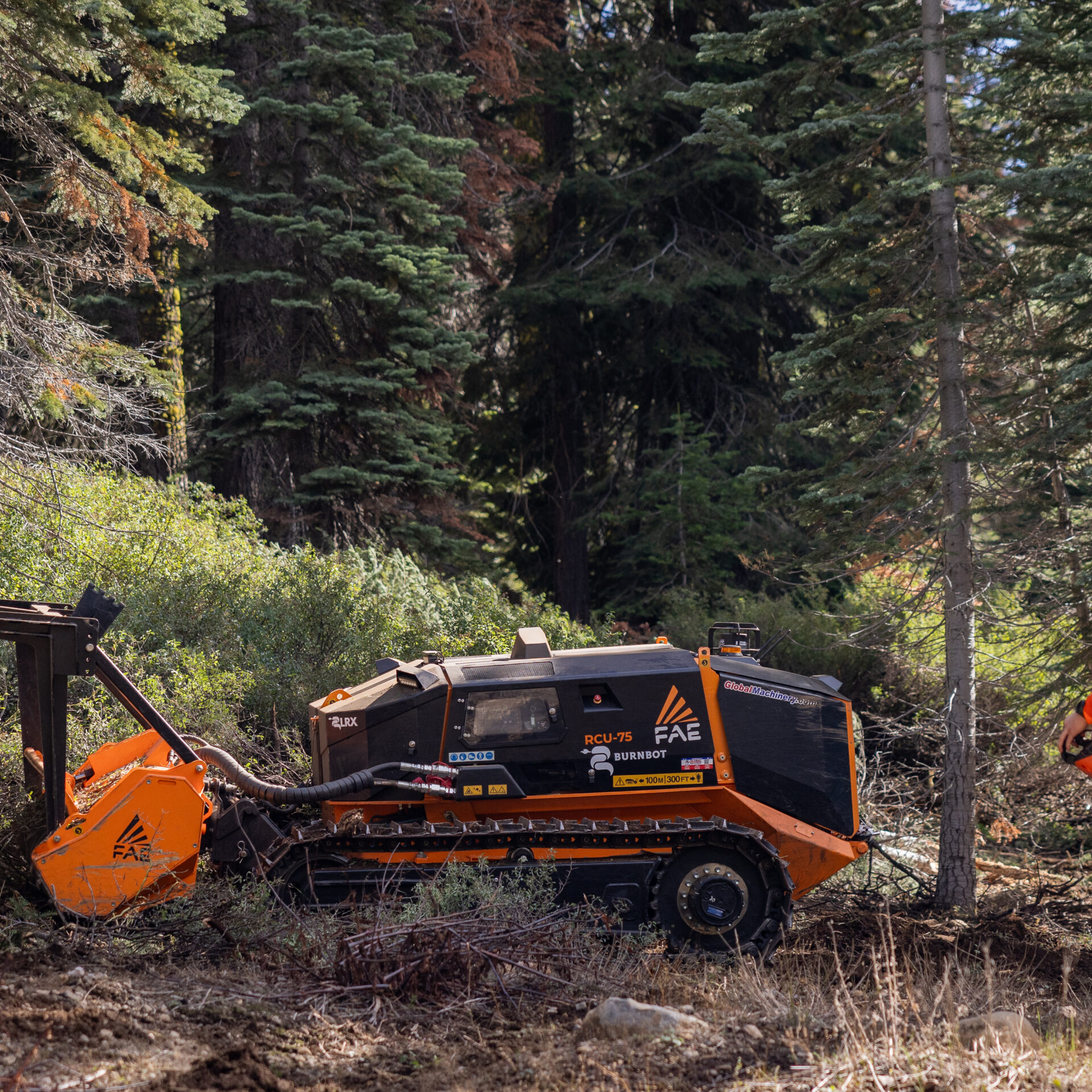 Partner Profile | BurnBot | Blue Forest