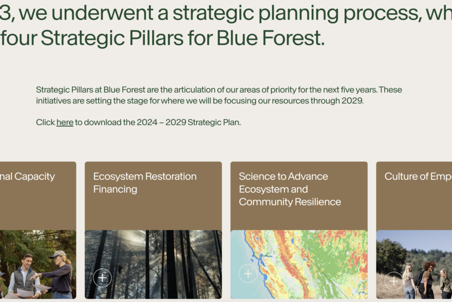 Blue Forest | Because landscape restoration needs to happen now