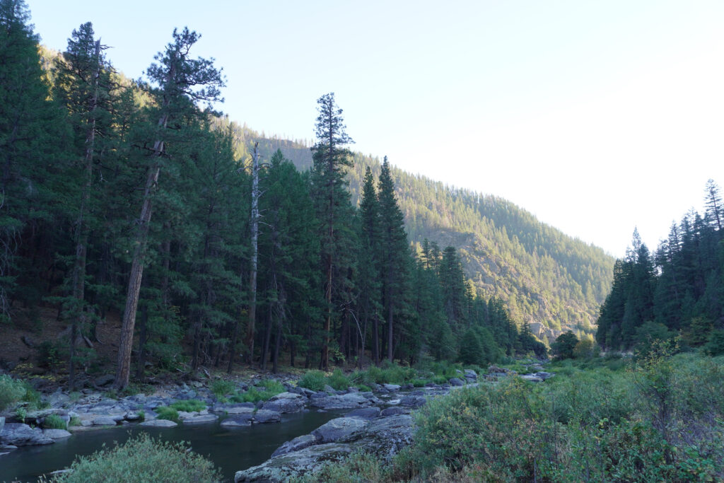 Our Projects | Blue Forest