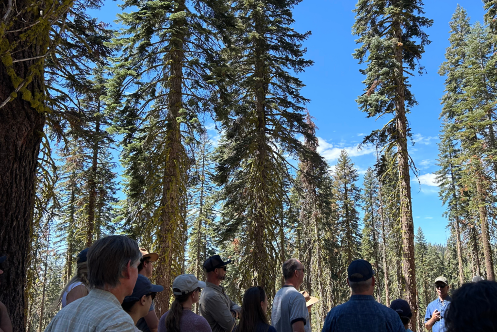 California IBank Invests $25 Million in Critical Climate Solutions, Marking First Climate ...