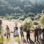 We Make Forest Restoration Projects Happen | Blue Forest