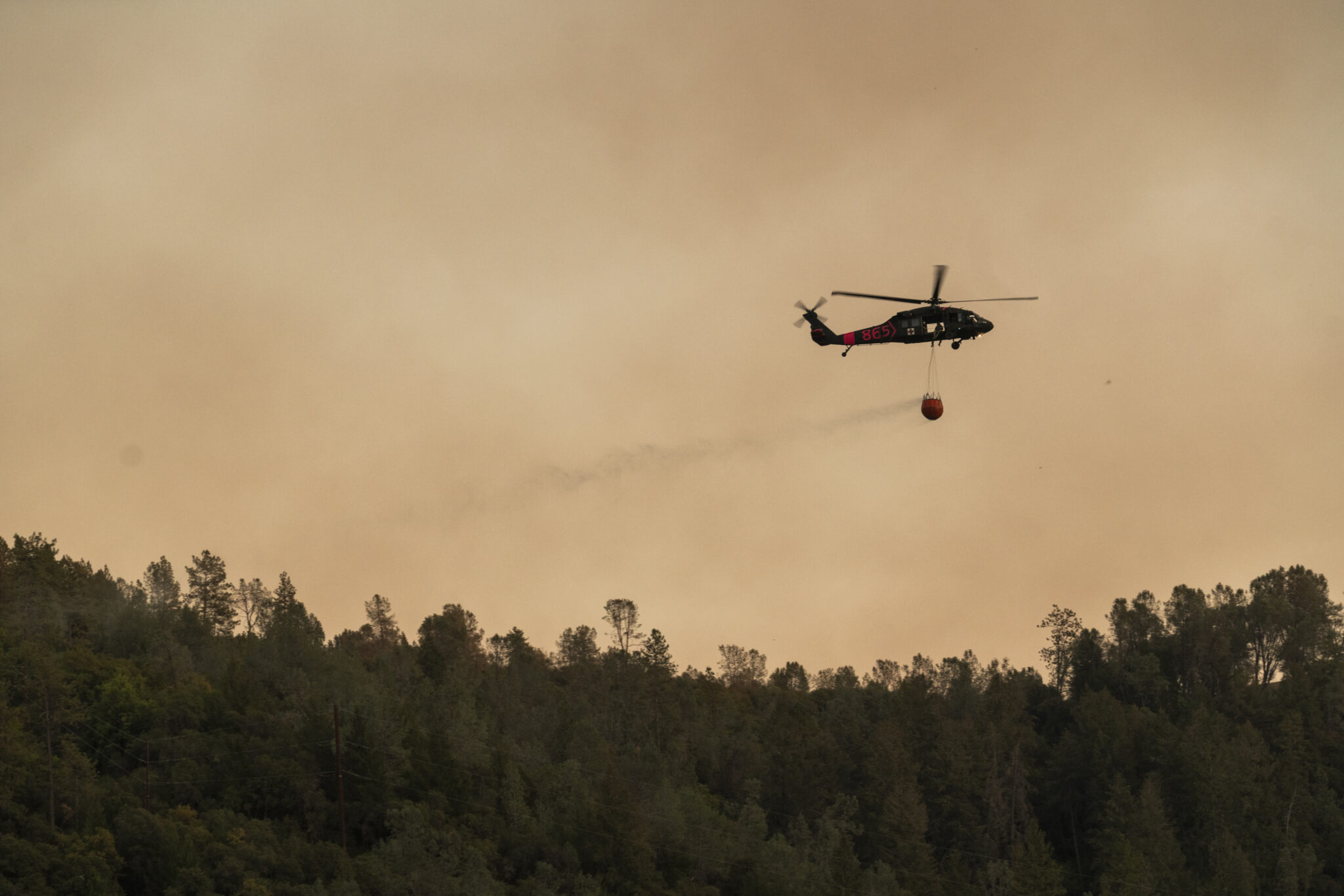 Beyond the LA Wildfires: Breaking the Cycle and Scaling Solutions ...