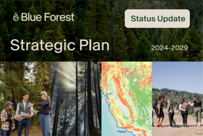 One Year into Our Strategic Plan: Progress & Next Steps | Blue Forest
