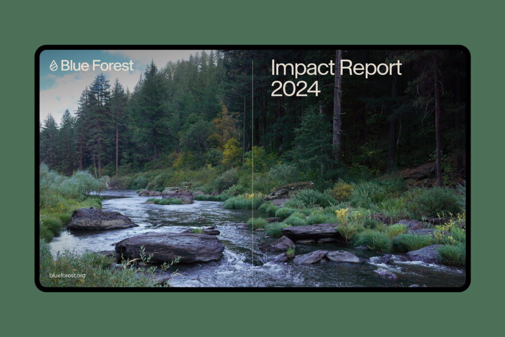 Blue Forest | Because landscape restoration needs to happen now