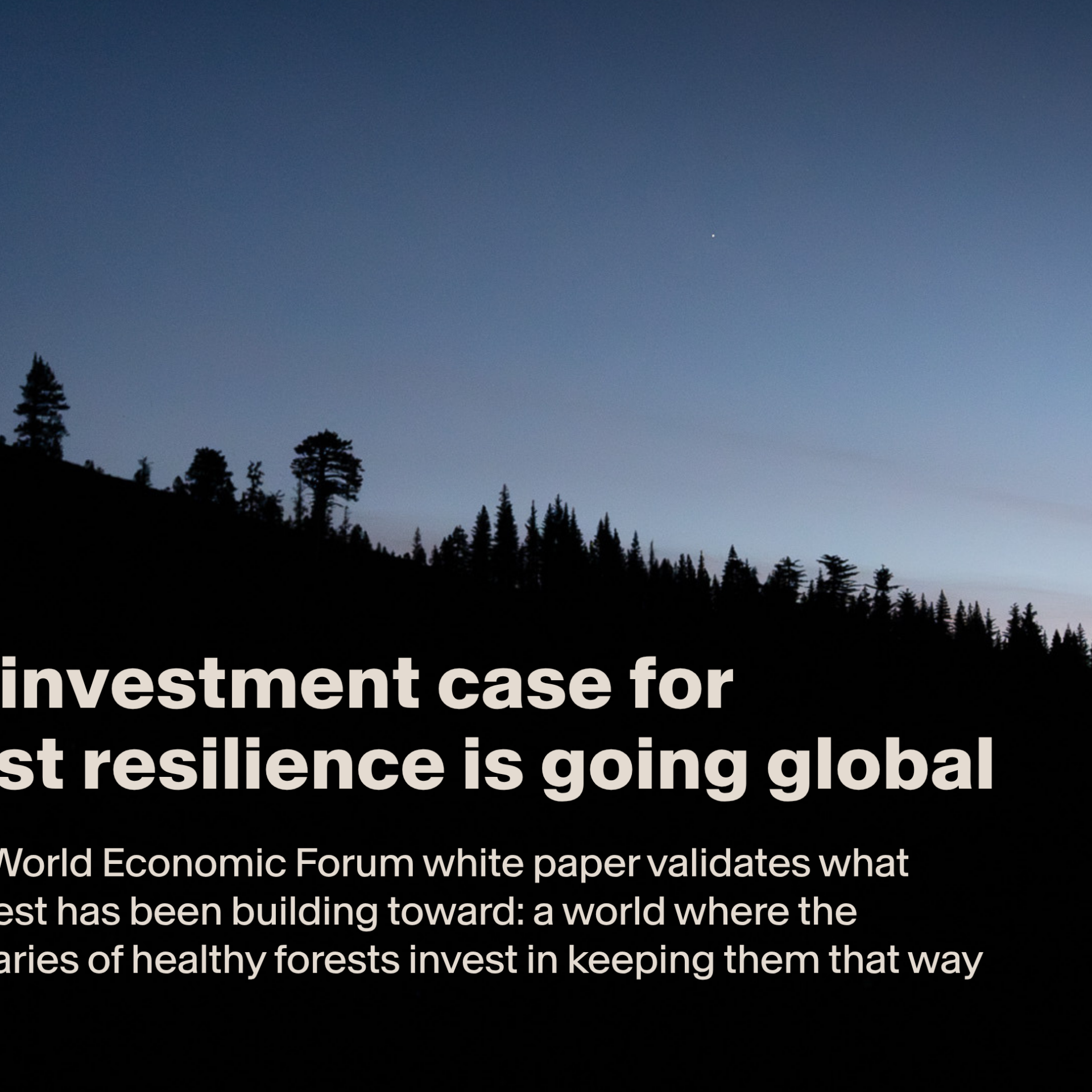 The investment case for forest resilience is going global | Blue Forest